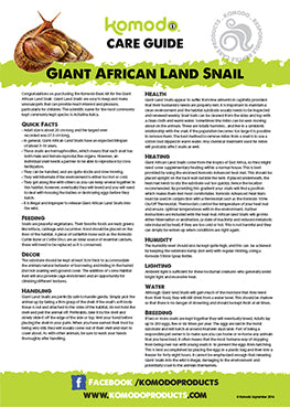Komodo Care Sheets | Free Reptile Care Guides – Komodo Reptile Products