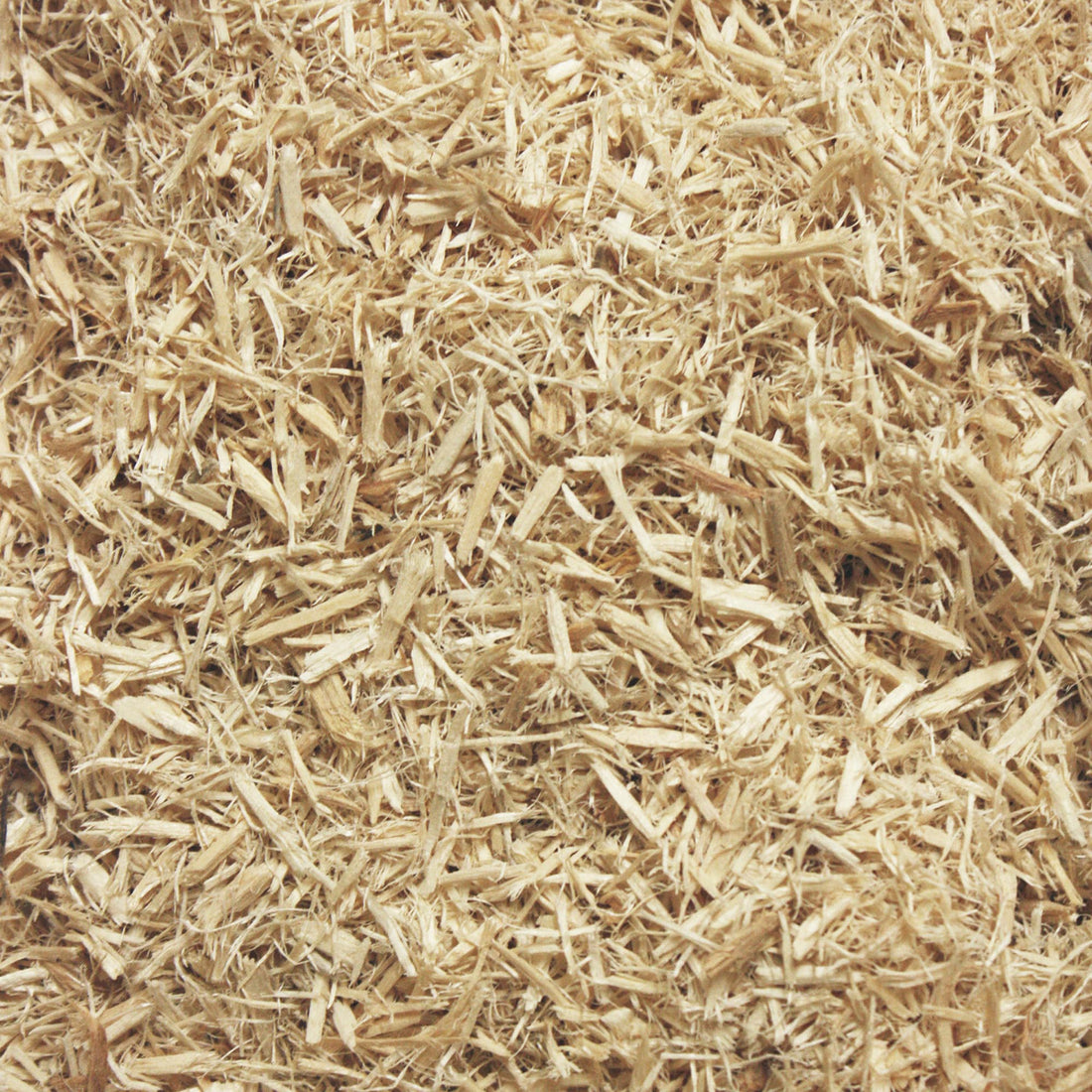 Komodo Aspen Bedding | Natural & Biodegradable Snake Substrate – Komodo ...